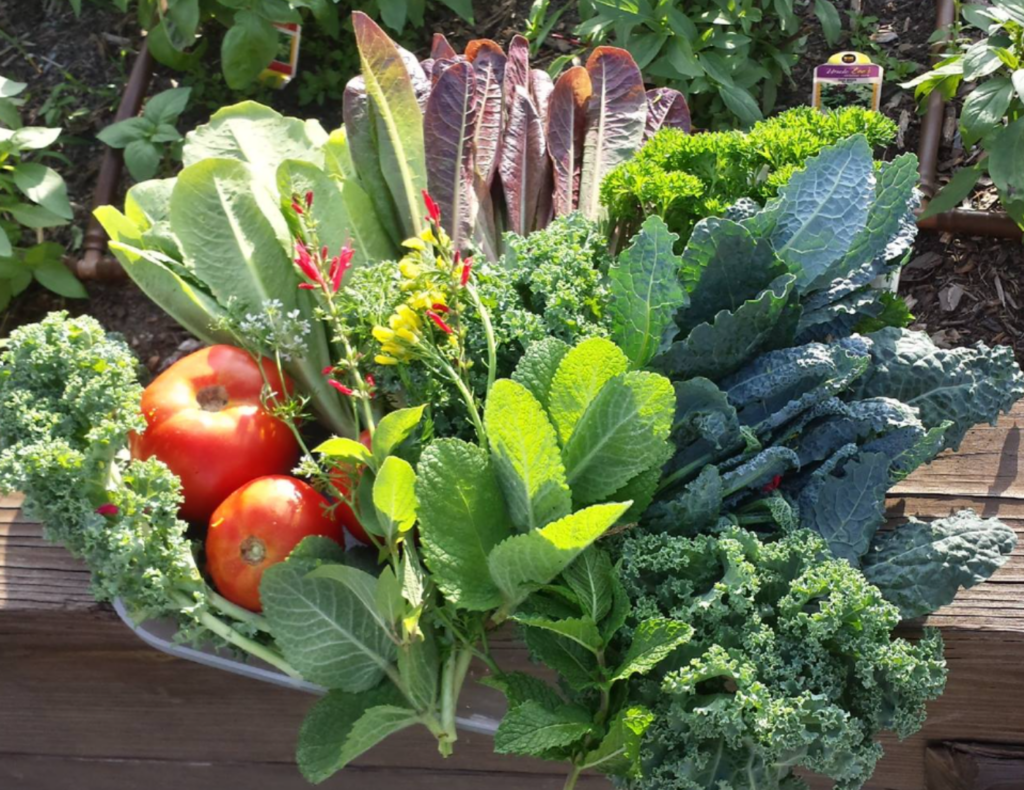 Get Involved, Make a Difference | City of Meadows Place