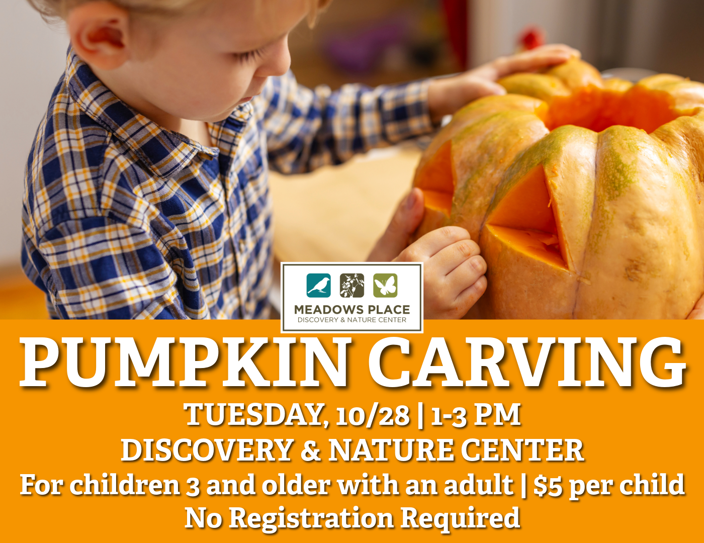Pumpkin Carving at the Discovery & Nature Center | City of Meadows Place