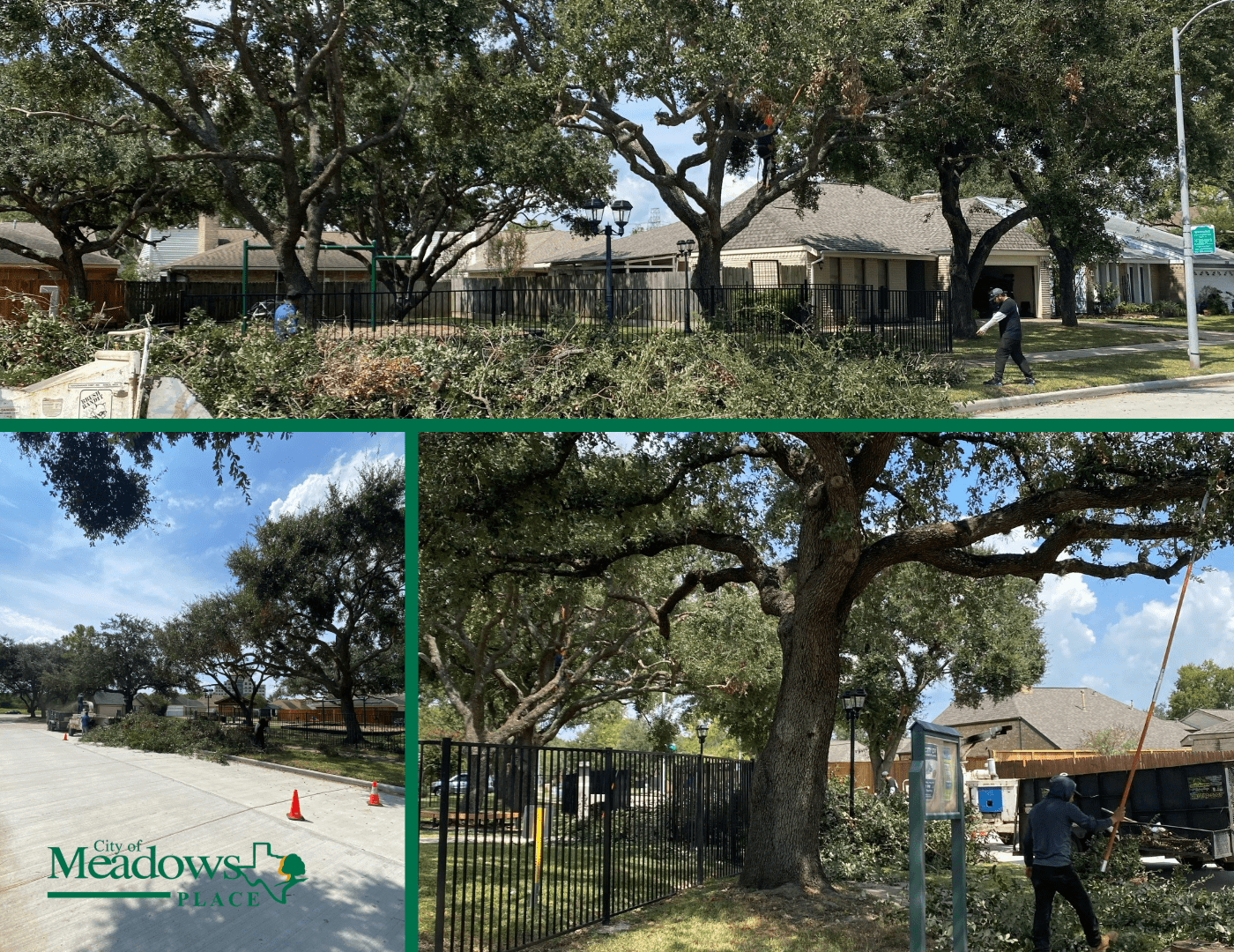 Tree Trimming Happening Around City | City of Meadows Place