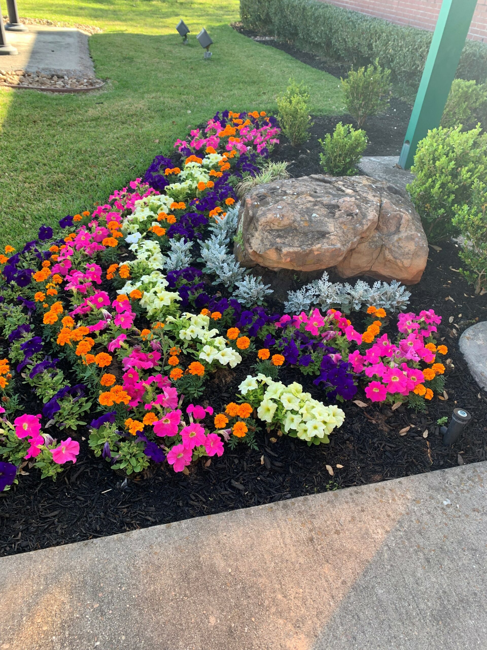 Spring has Sprung in Meadows Place | City of Meadows Place